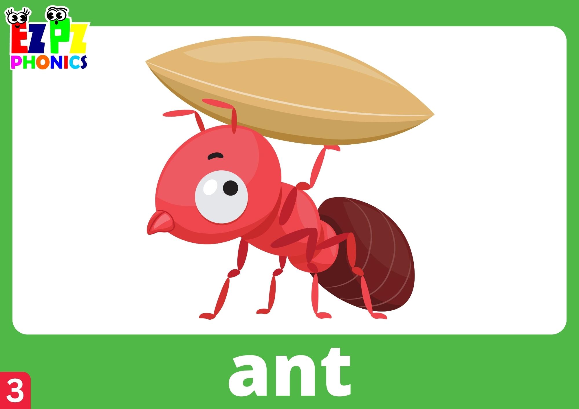 Letter Aa Words Phonics Flashcards with Images and Words Free Printable ...