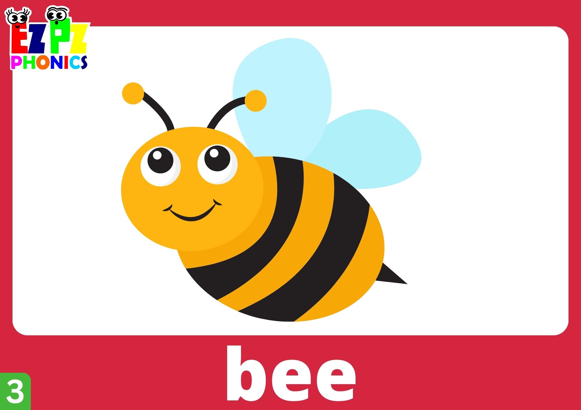 Letter Bb Words Phonics Flashcards with Images and Words Free Printable ...