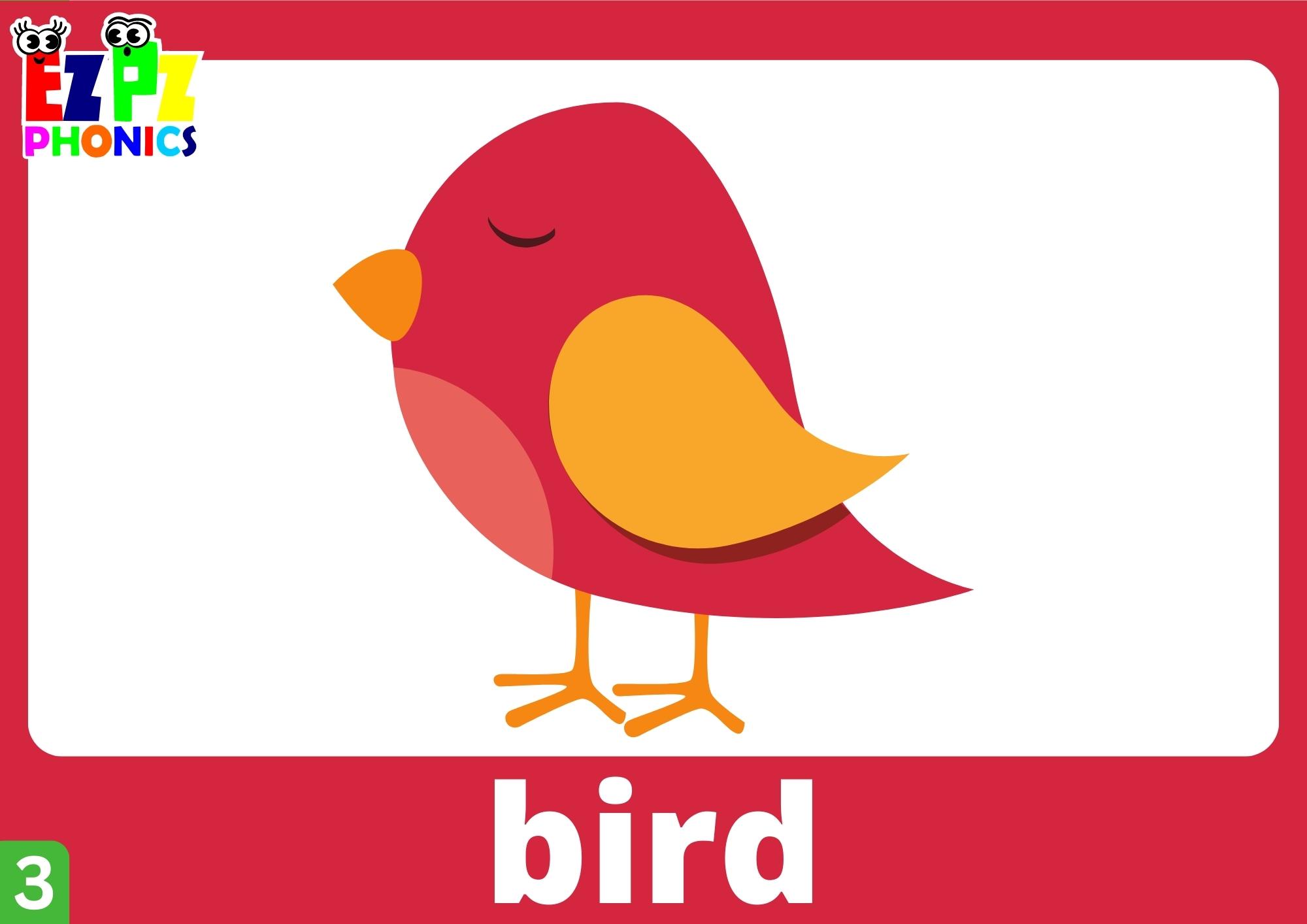 Letter Bb Words Phonics Flashcards with Images and Words Free Printable ...