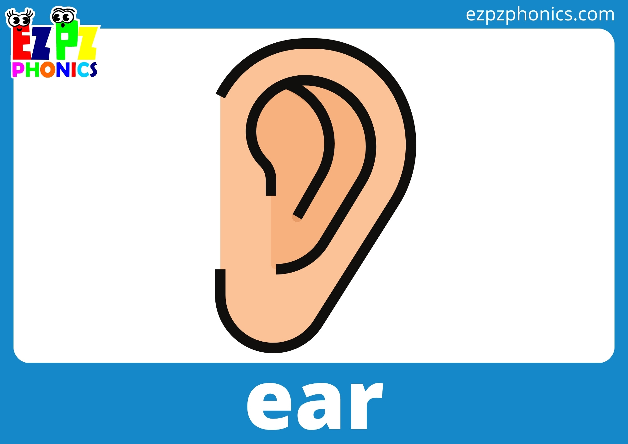 E Beginning Sounds Flashcards with Words Phonics Letter Sounds ...