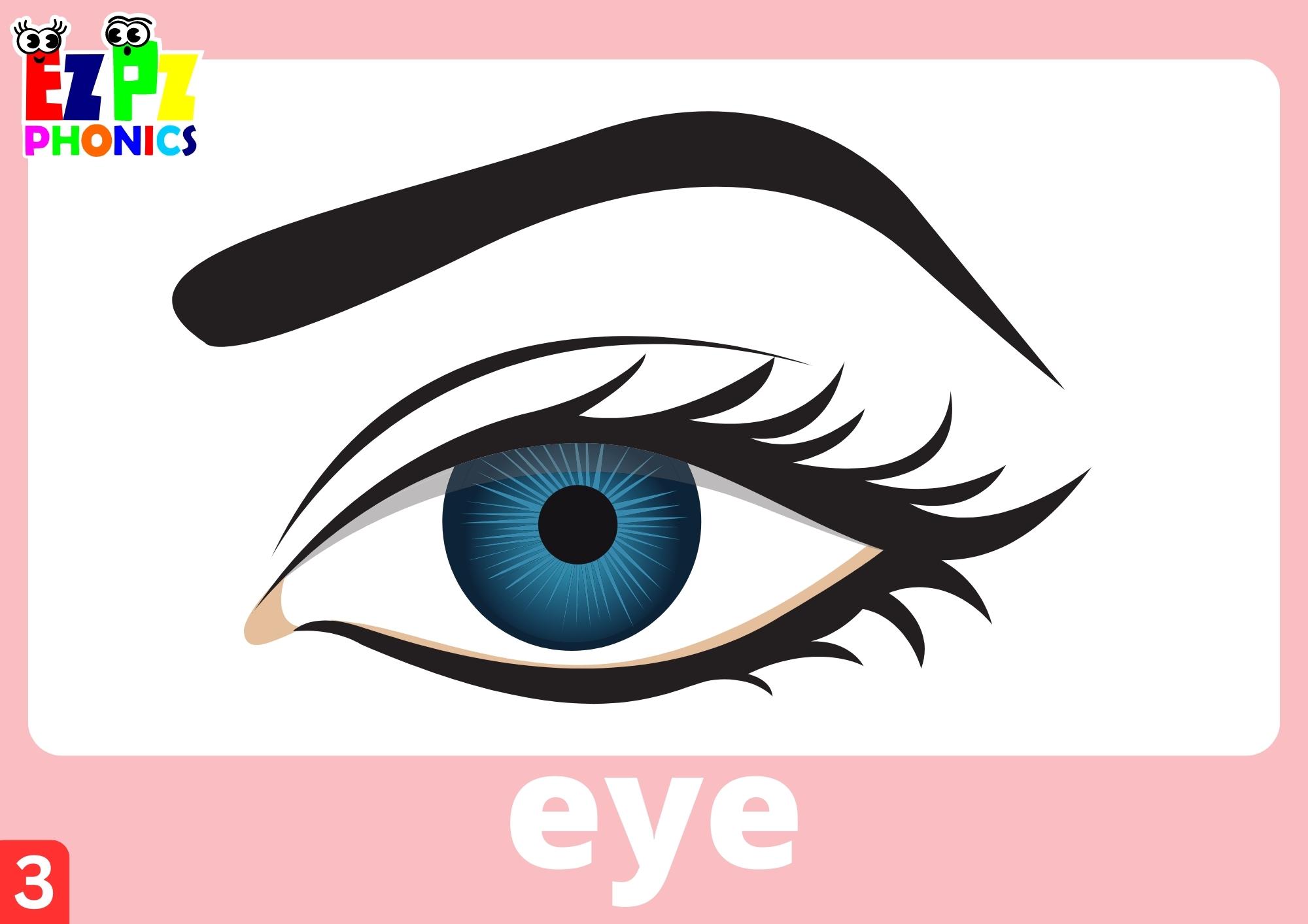 Letter Ee Words Phonics Flashcards with Images and Words Free Printable ...