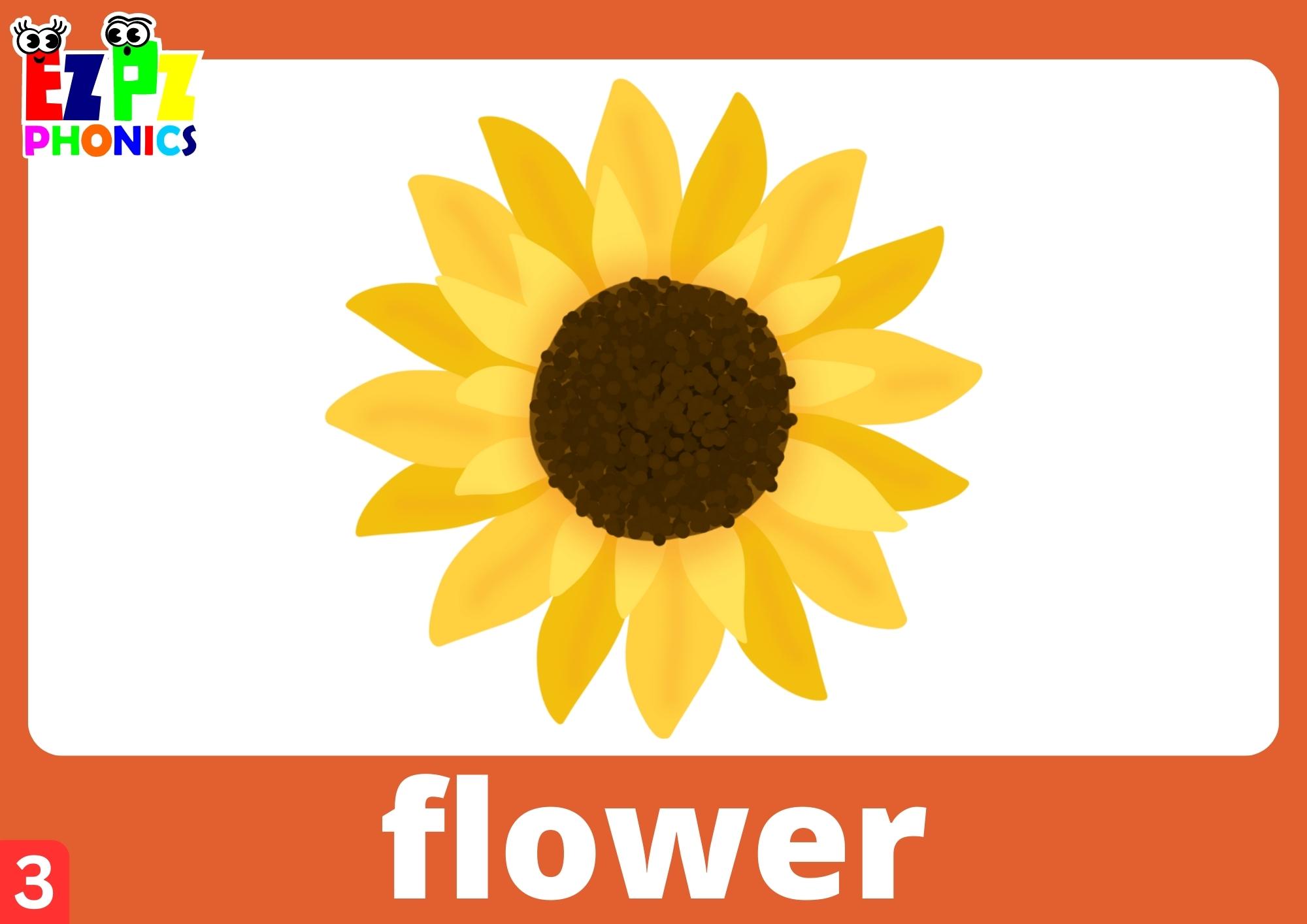 Letter Ff Words Phonics Flashcards with Images and Words Free Printable ...