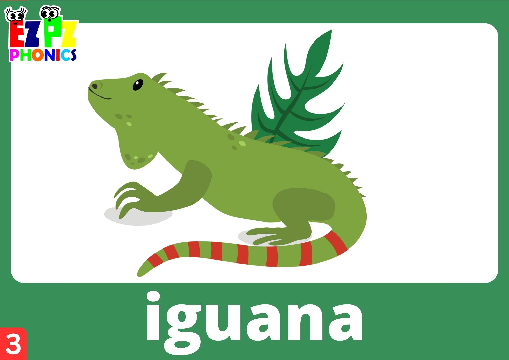 Letter Ii Words Phonics Flashcards with Images and Words Free Printable ...