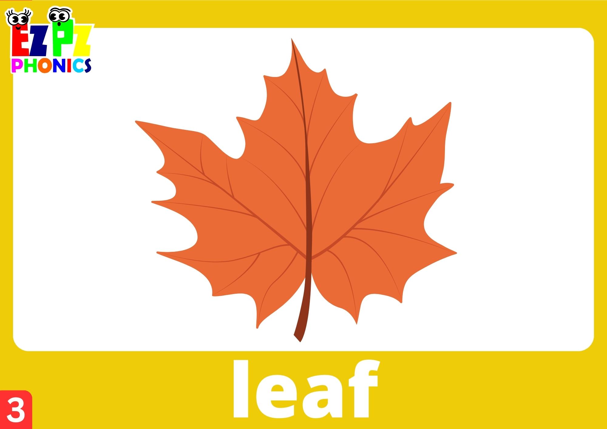 Letter L Words Phonics Flashcards with Images and Words Free Printable ...