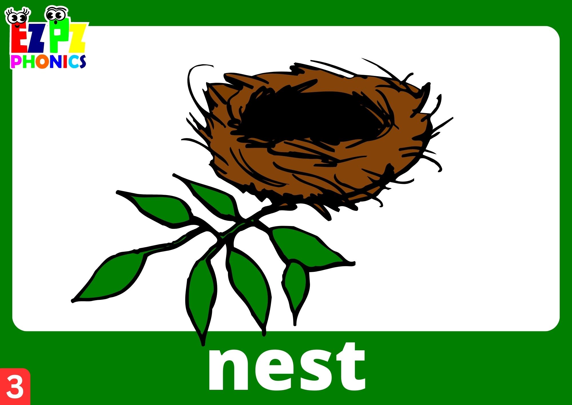 Letter N Words Phonics Flashcards with Images and Words Free Printable ...