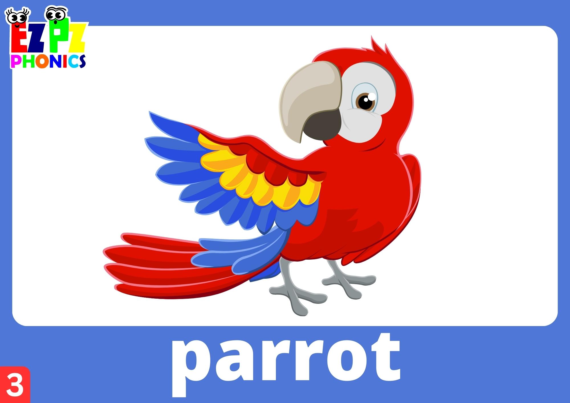 Letter P Words Phonics Flashcards with Images and Words Free Printable ...