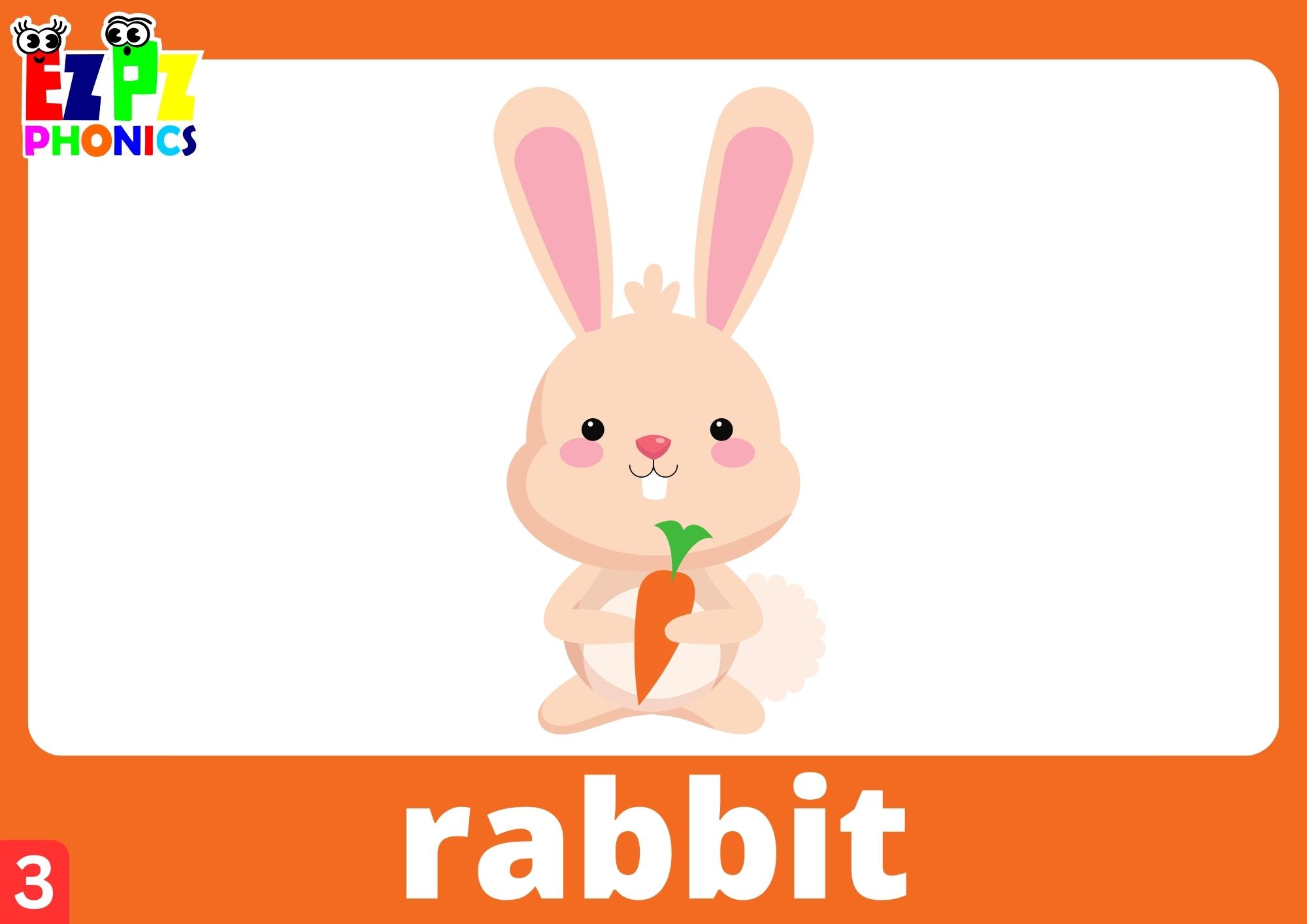 Letter R Words Phonics Flashcards with Images and Words Free Printable ...