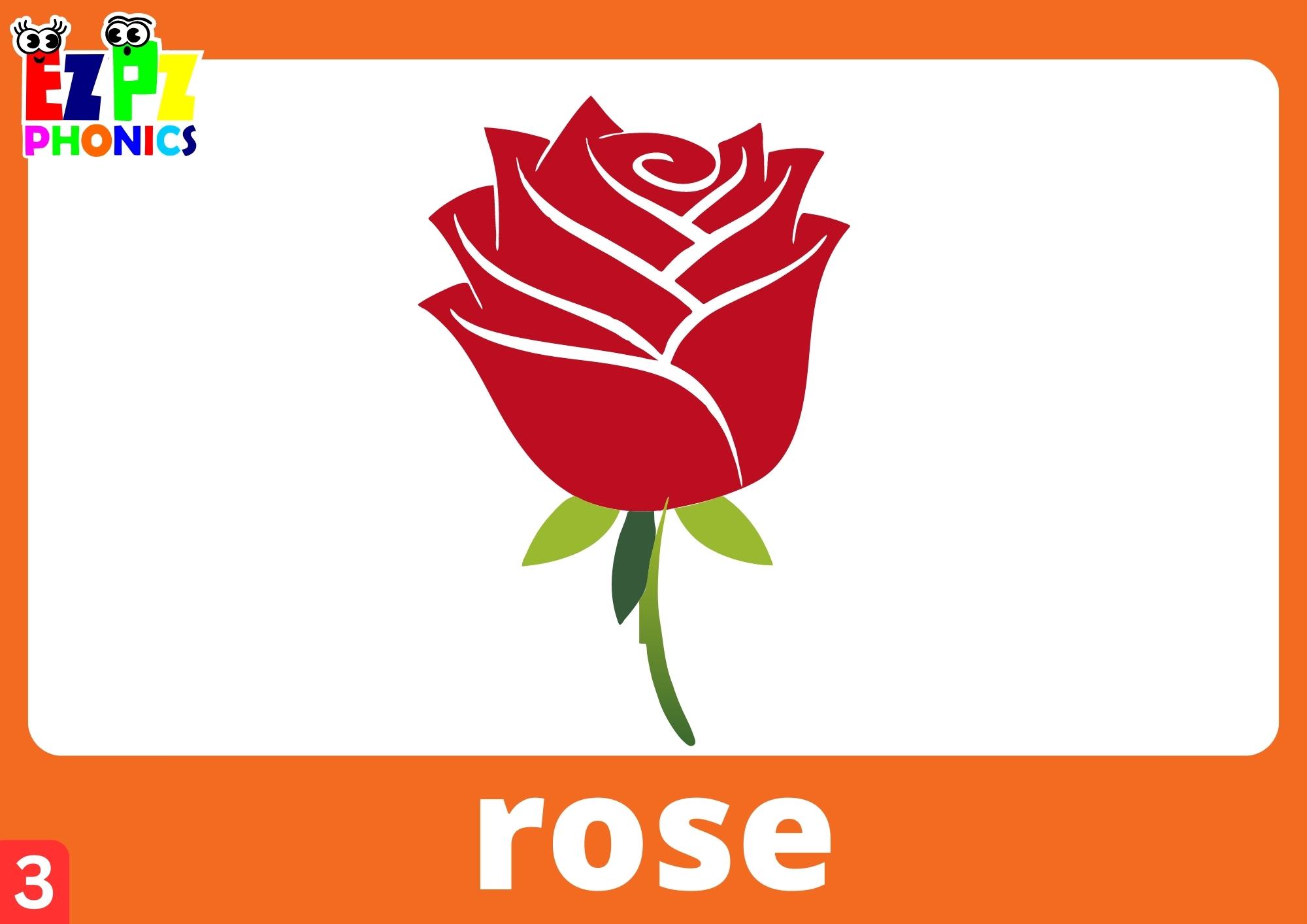 Letter R Words Phonics Flashcards with Images and Words Free Printable ...