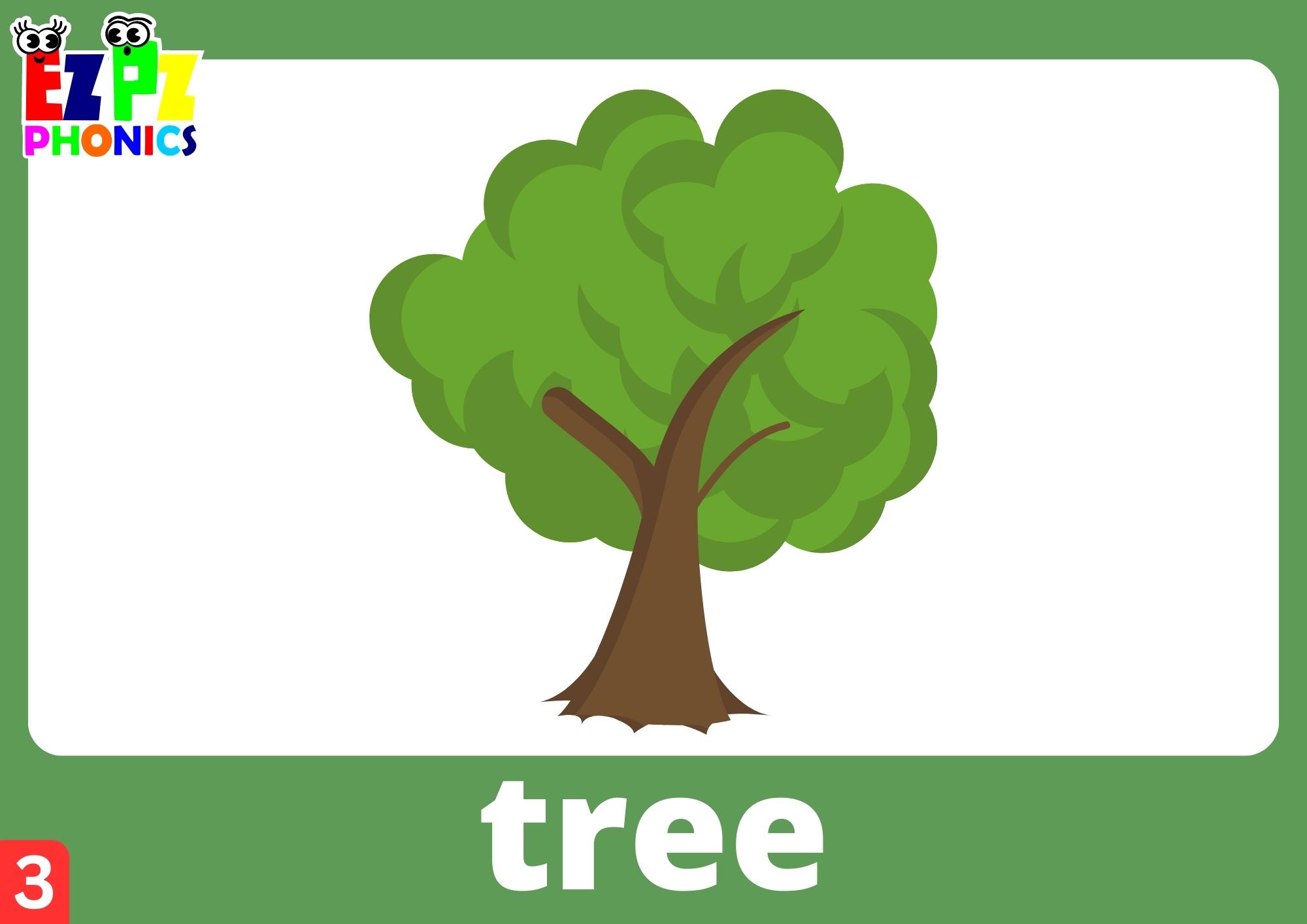 Letter T Words Phonics Flashcards with Images and Words Free Printable ...