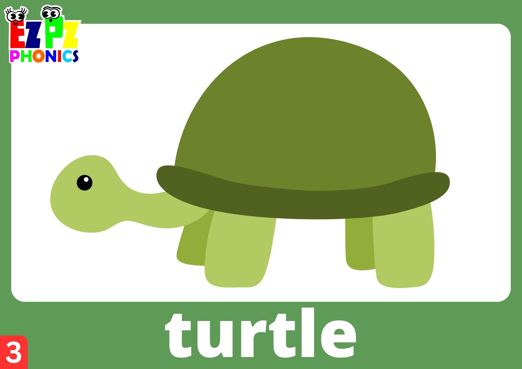 Letter T Words Phonics Flashcards with Images and Words Free Printable ...