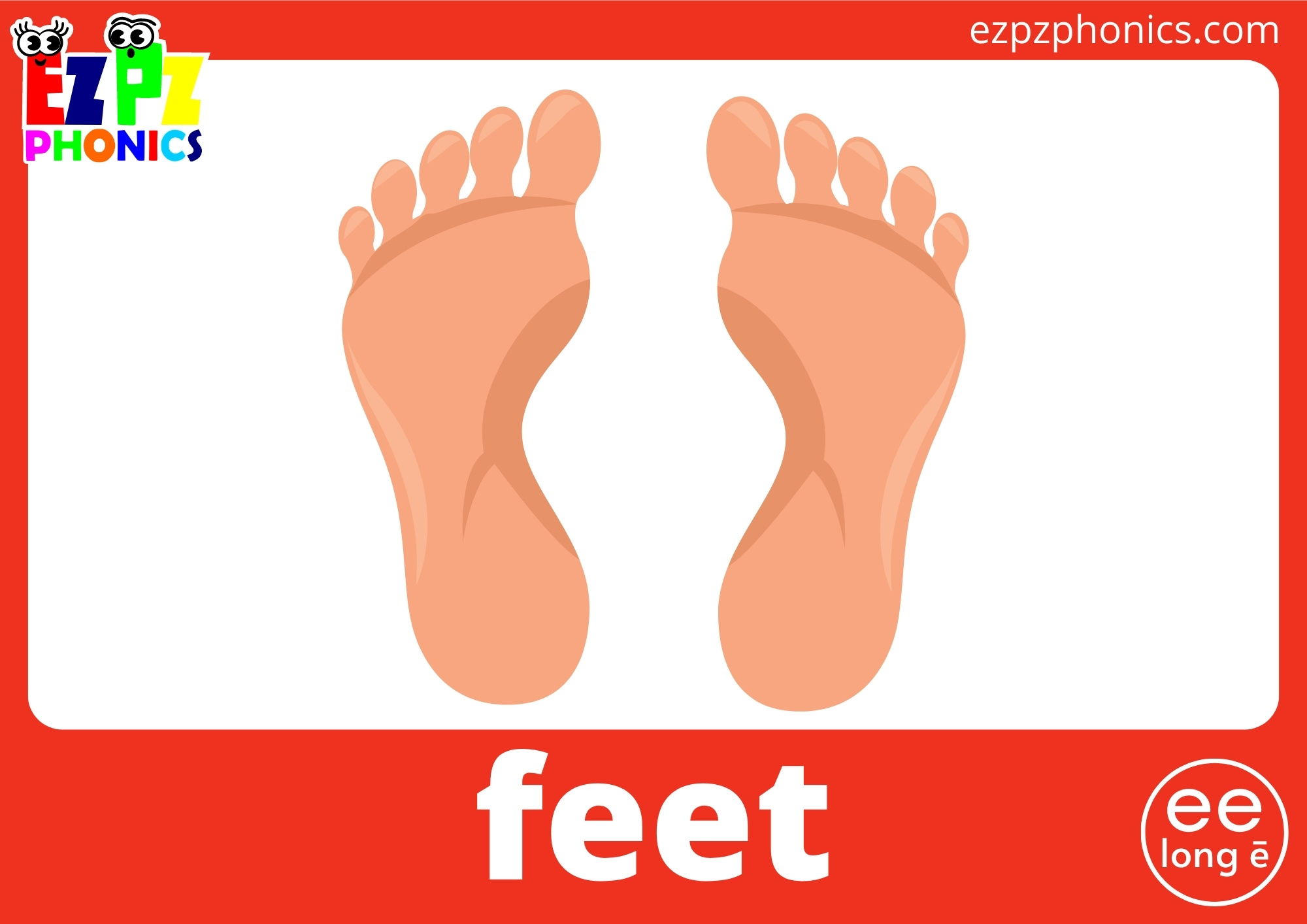 ee Words List Long E Vowel Sounds Flashcards with Images and Words Free ...