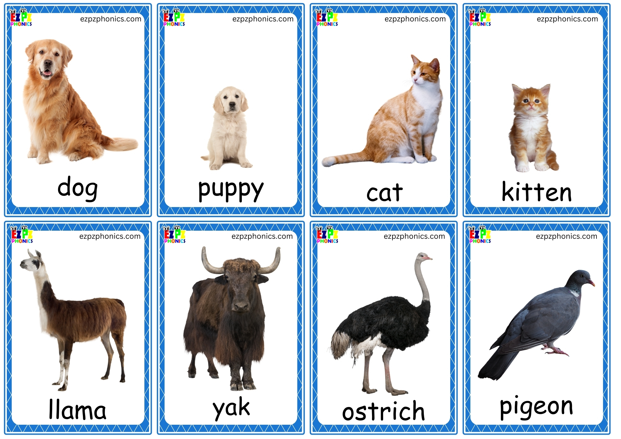 Farm Animals Vocabulary Mini Flashcards (Free PDF Download ...