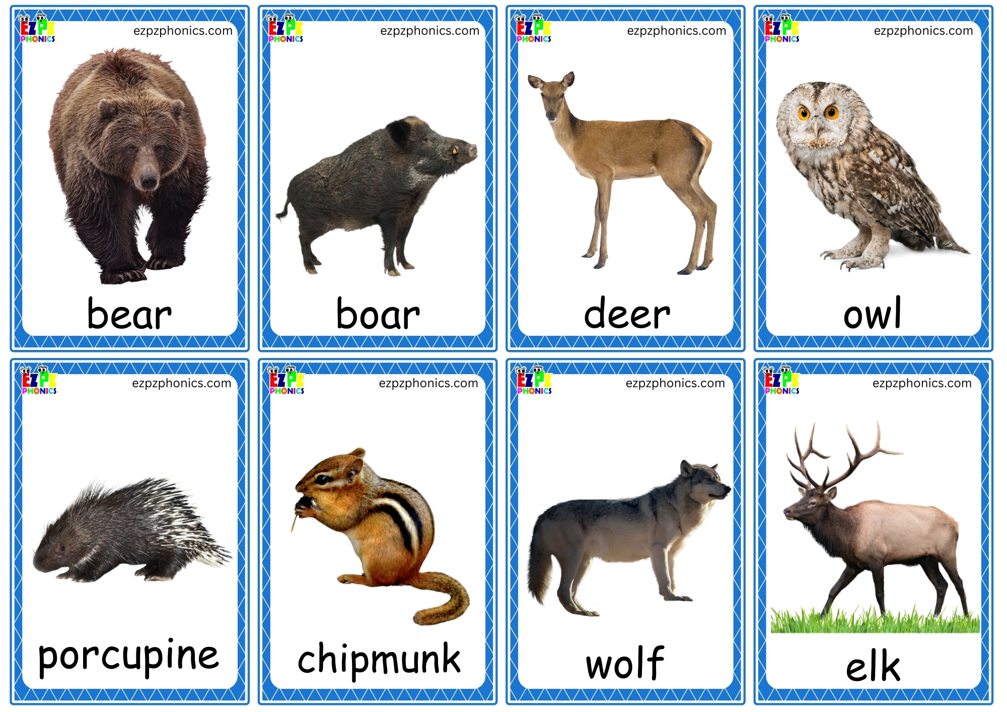 Forest Animals Mini Flashcards - ezpzphonics.com