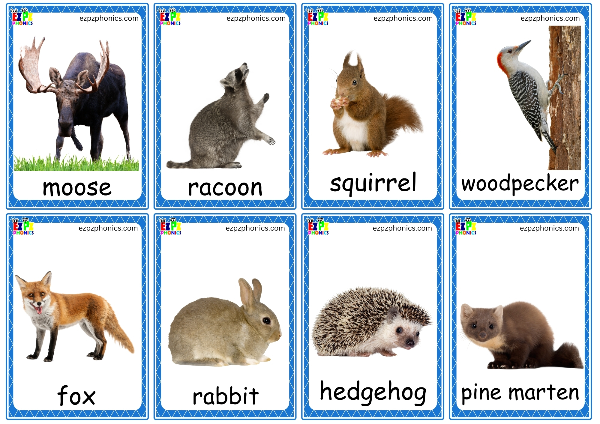 Forest Animals Mini Flashcards - ezpzphonics.com