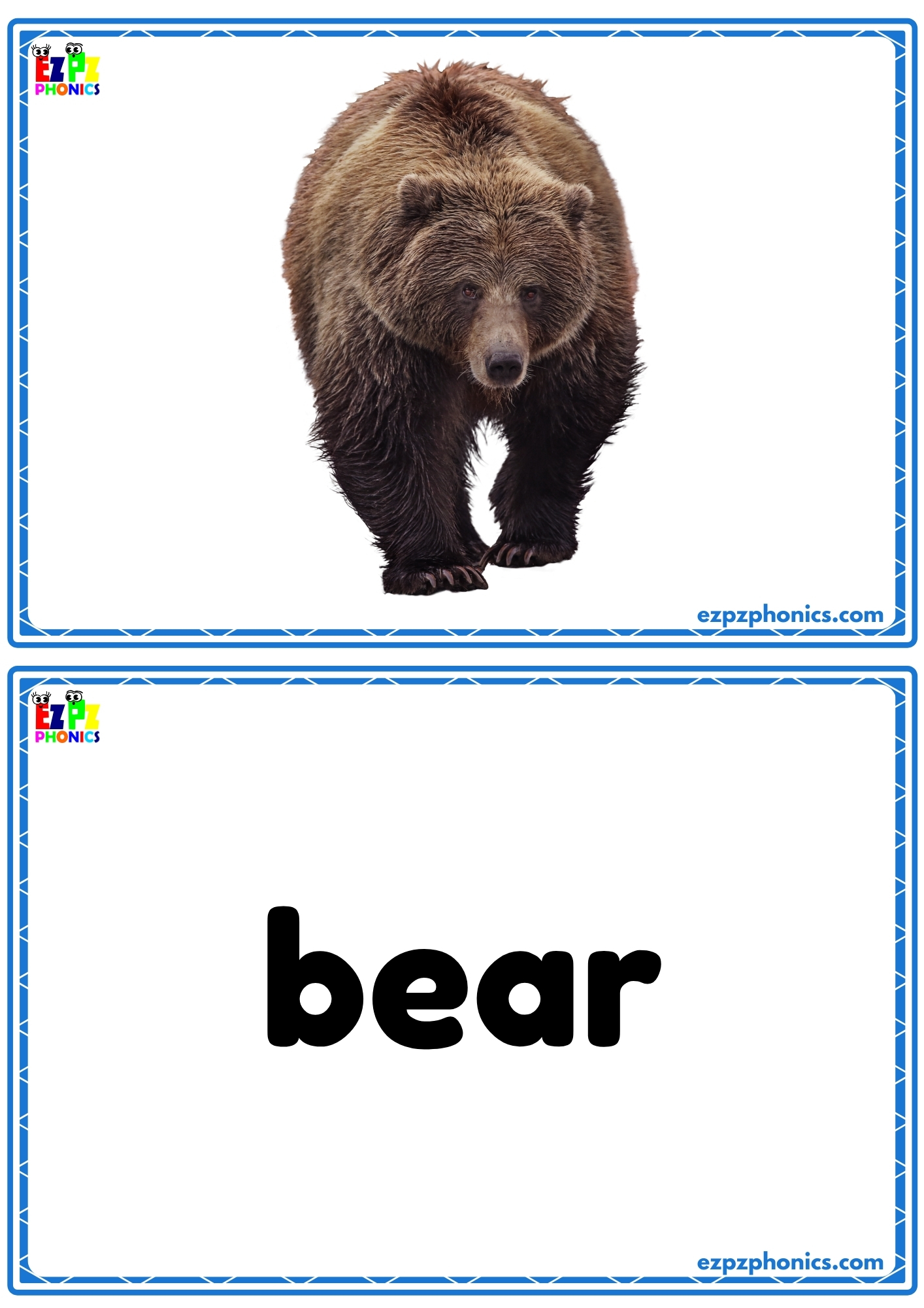 Forest Animals Flashcards View Online or Free PDF Download ...