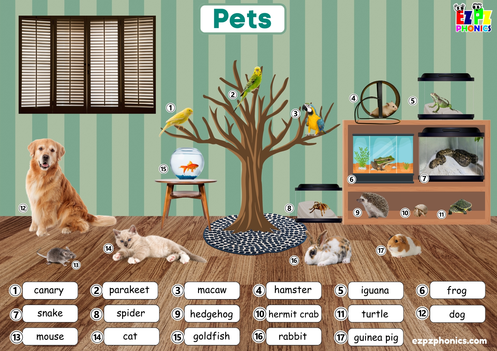 Pets Picture Dictionary (Free PDF Download) - ezpzphonics.com
