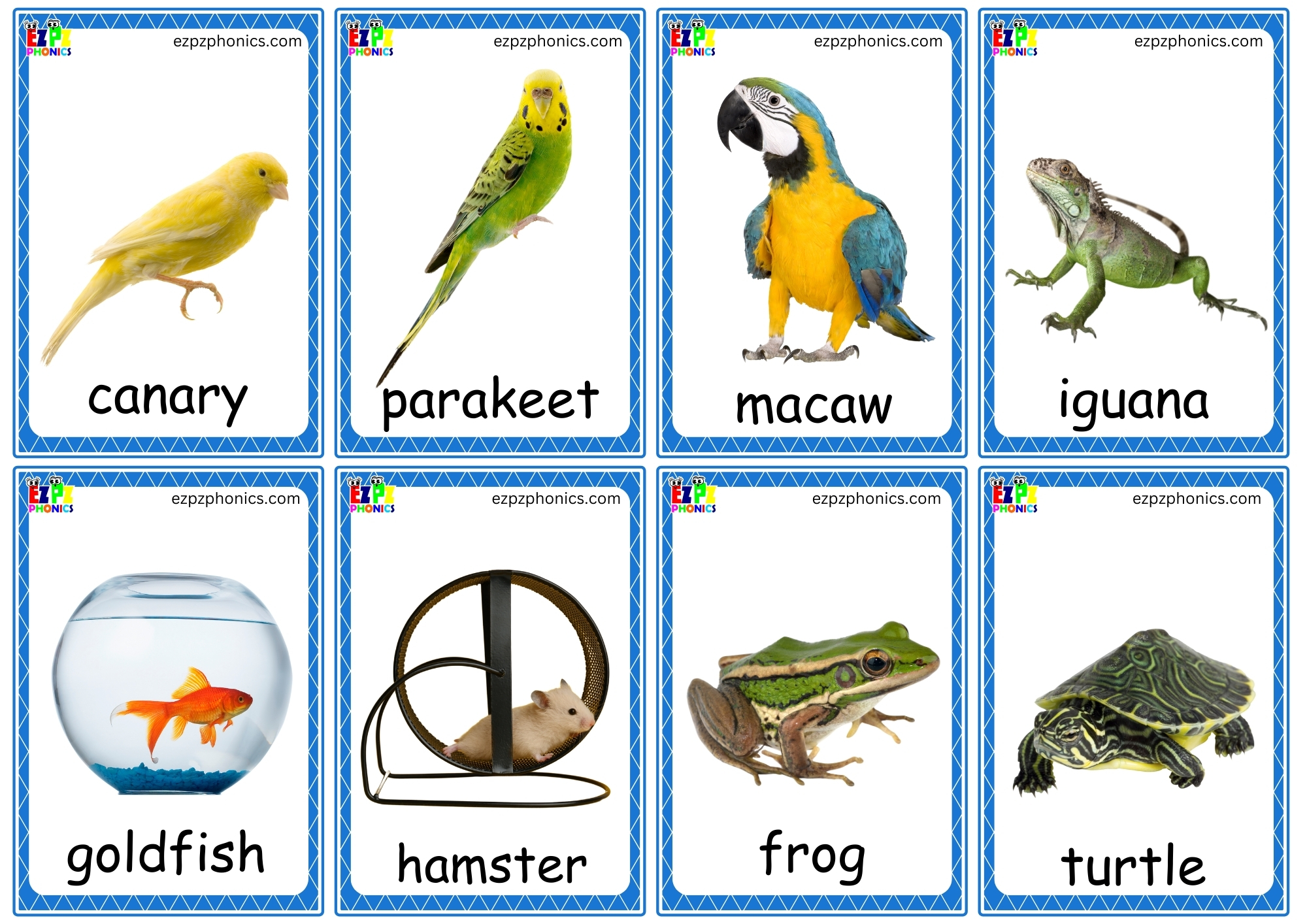 Pets Mini Flashcards (Free PDF Download) - ezpzphonics.com