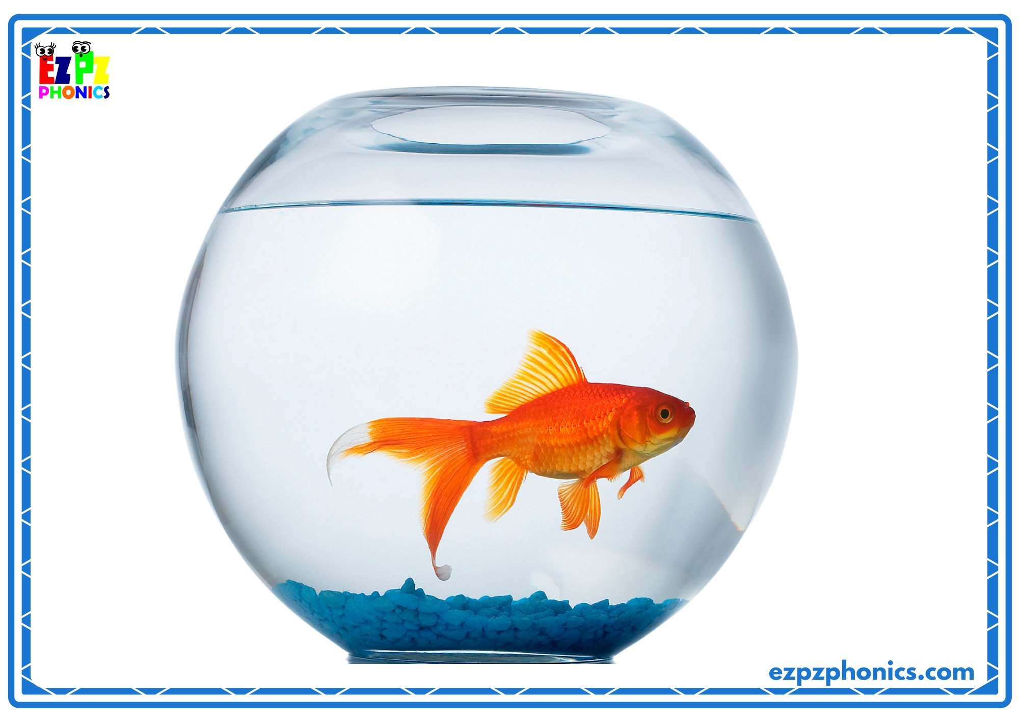 Pets Flashcards Words on the Back for Easy Learning, Free PDF Download ...