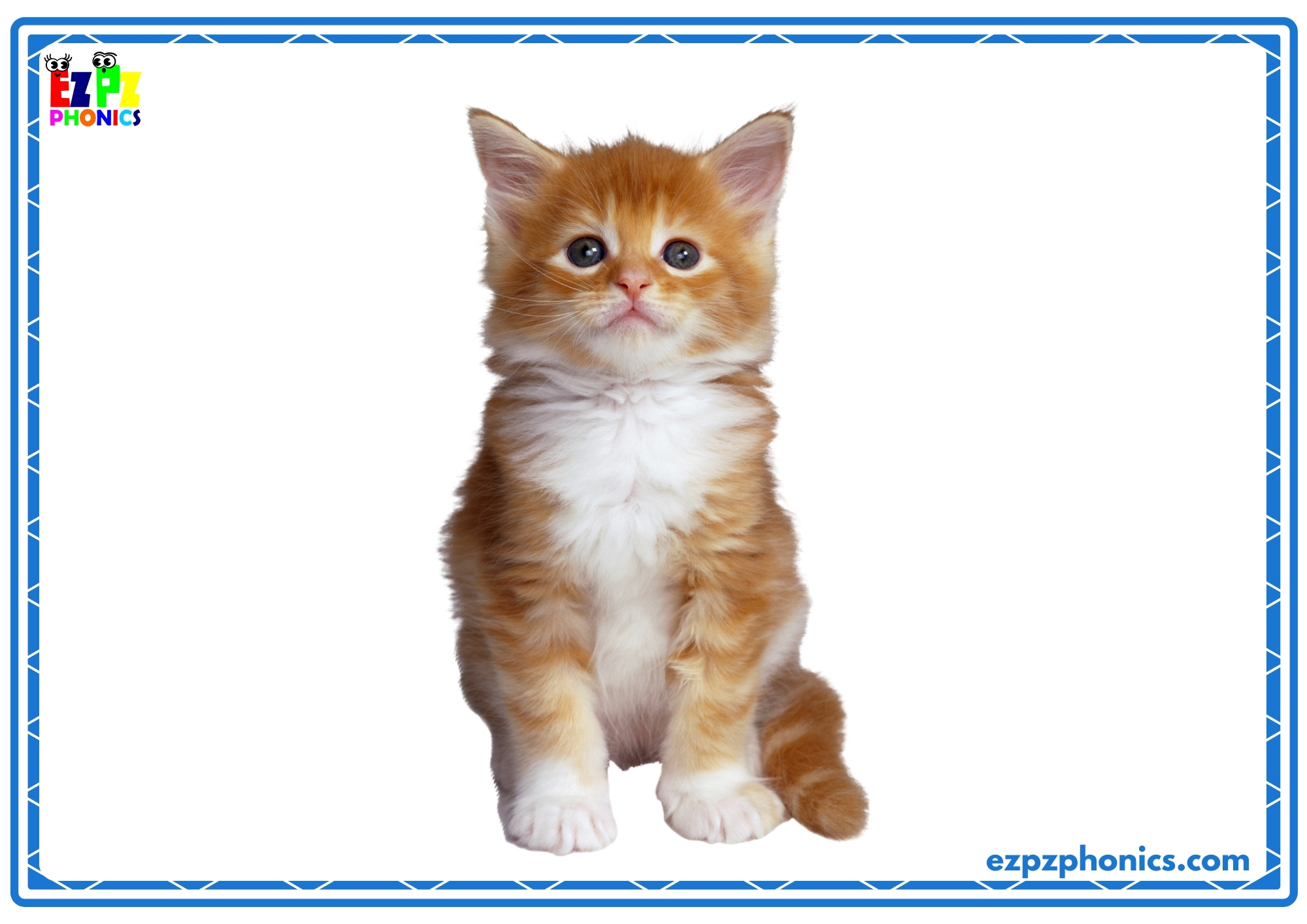 Pets Flashcards Words on the Back for Easy Learning, Free PDF Download ...