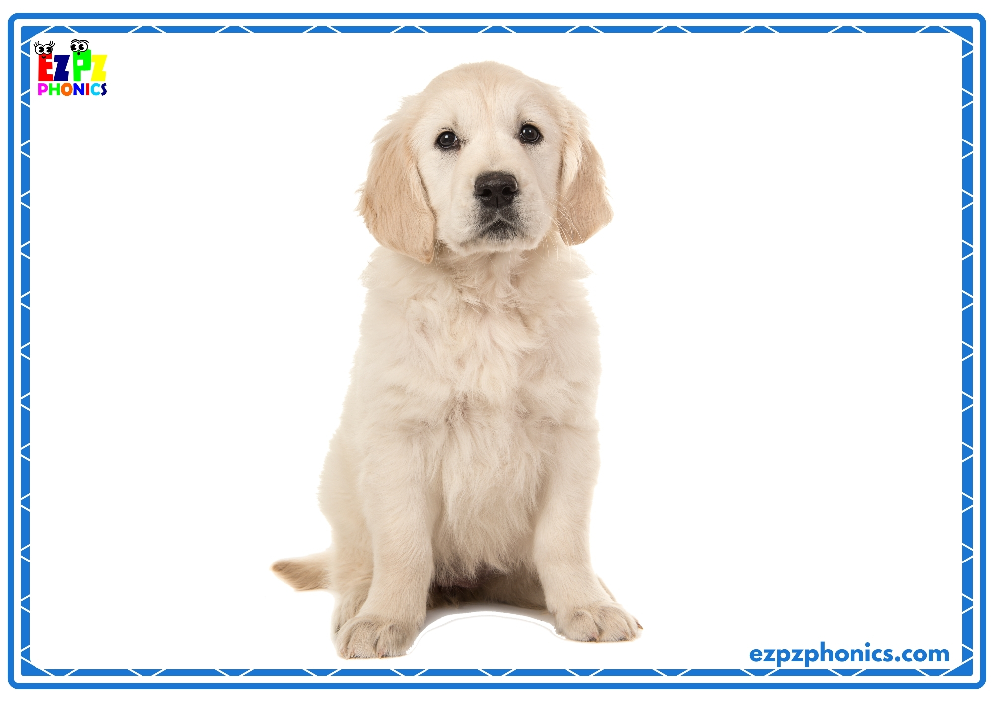 Pets Flashcards Words on the Back for Easy Learning, Free PDF Download ...