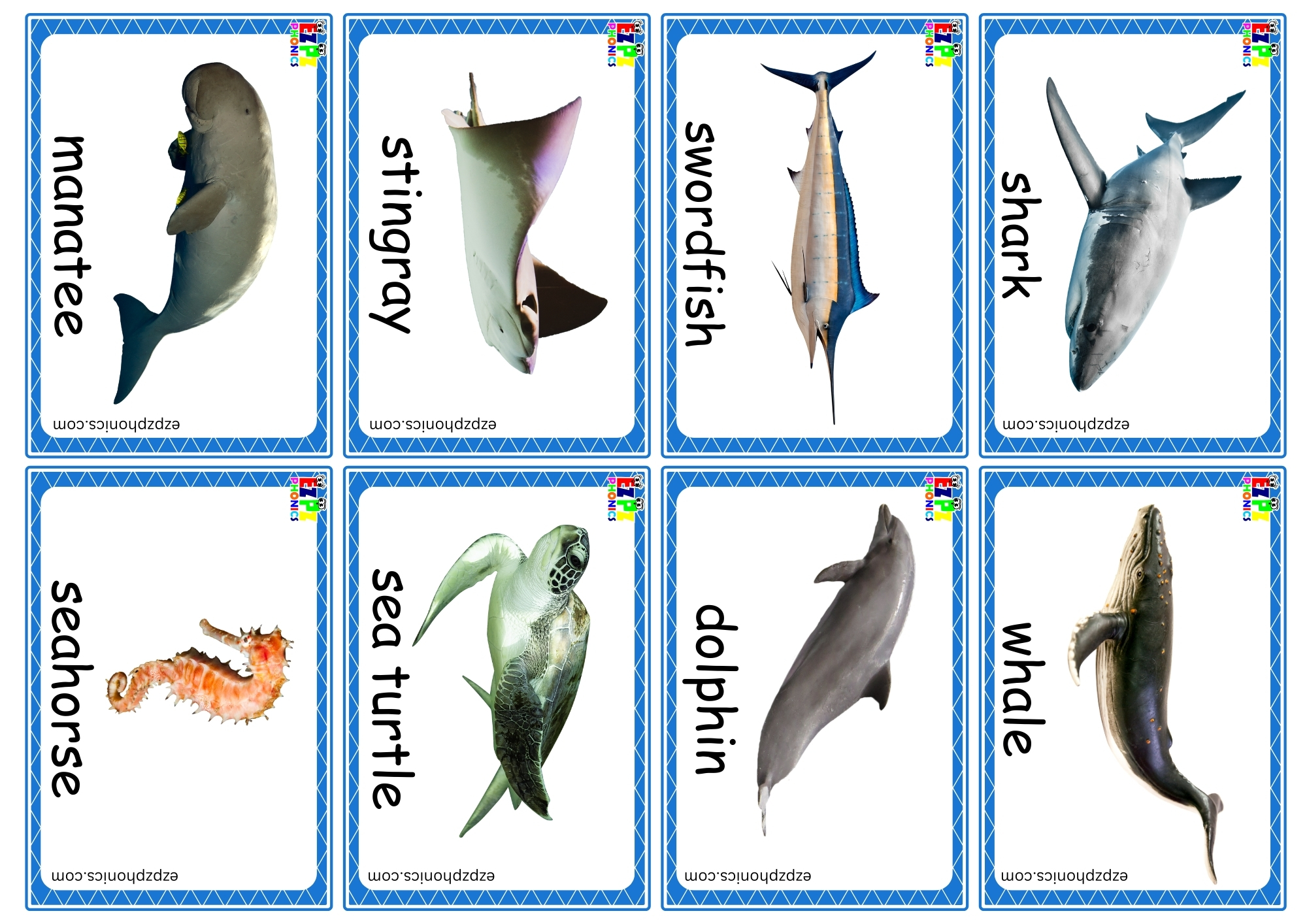 Sea Animals Mini Flashcards Free PDF - ezpzphonics.com