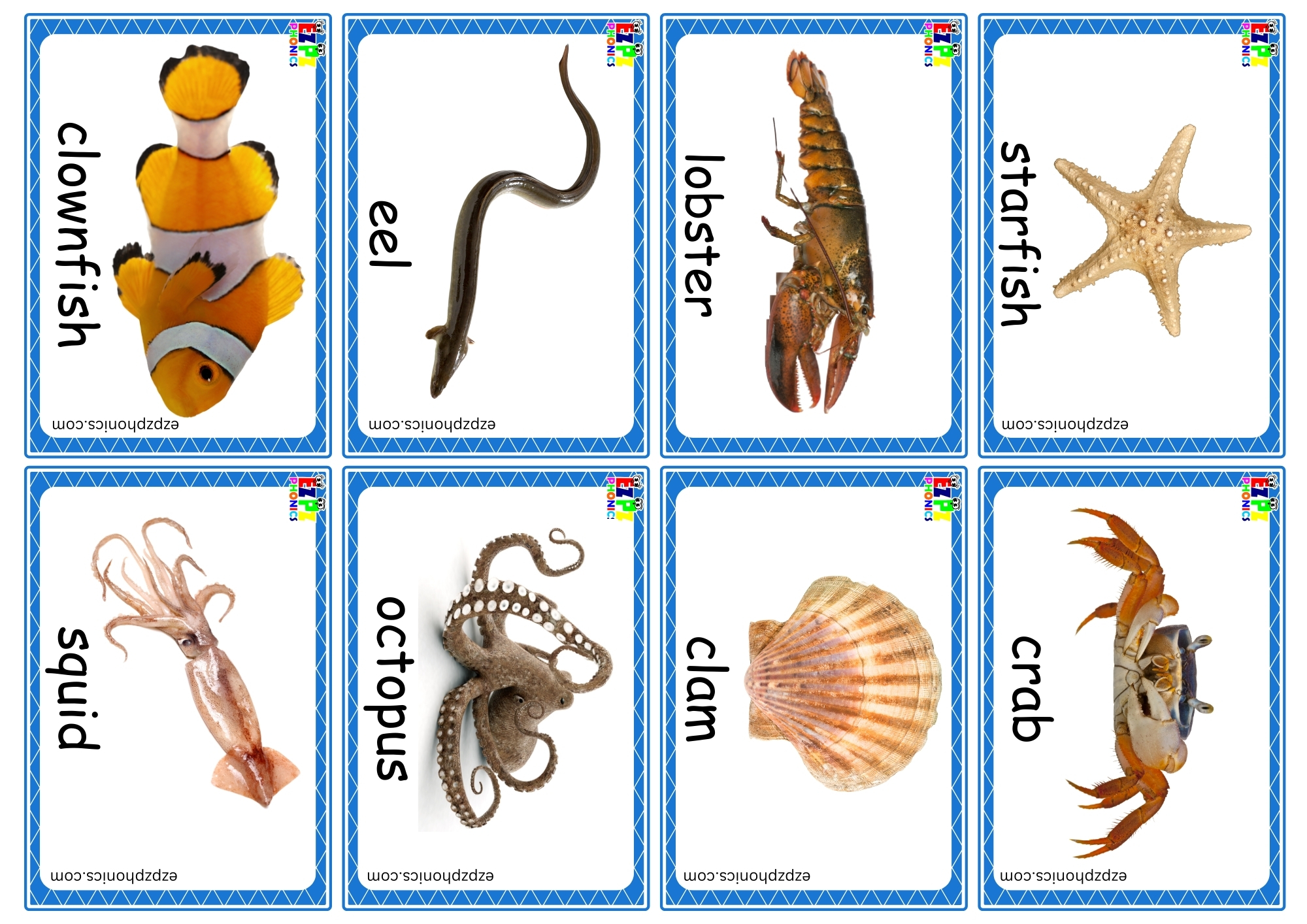 Sea Animals Mini Flashcards Free PDF - ezpzphonics.com