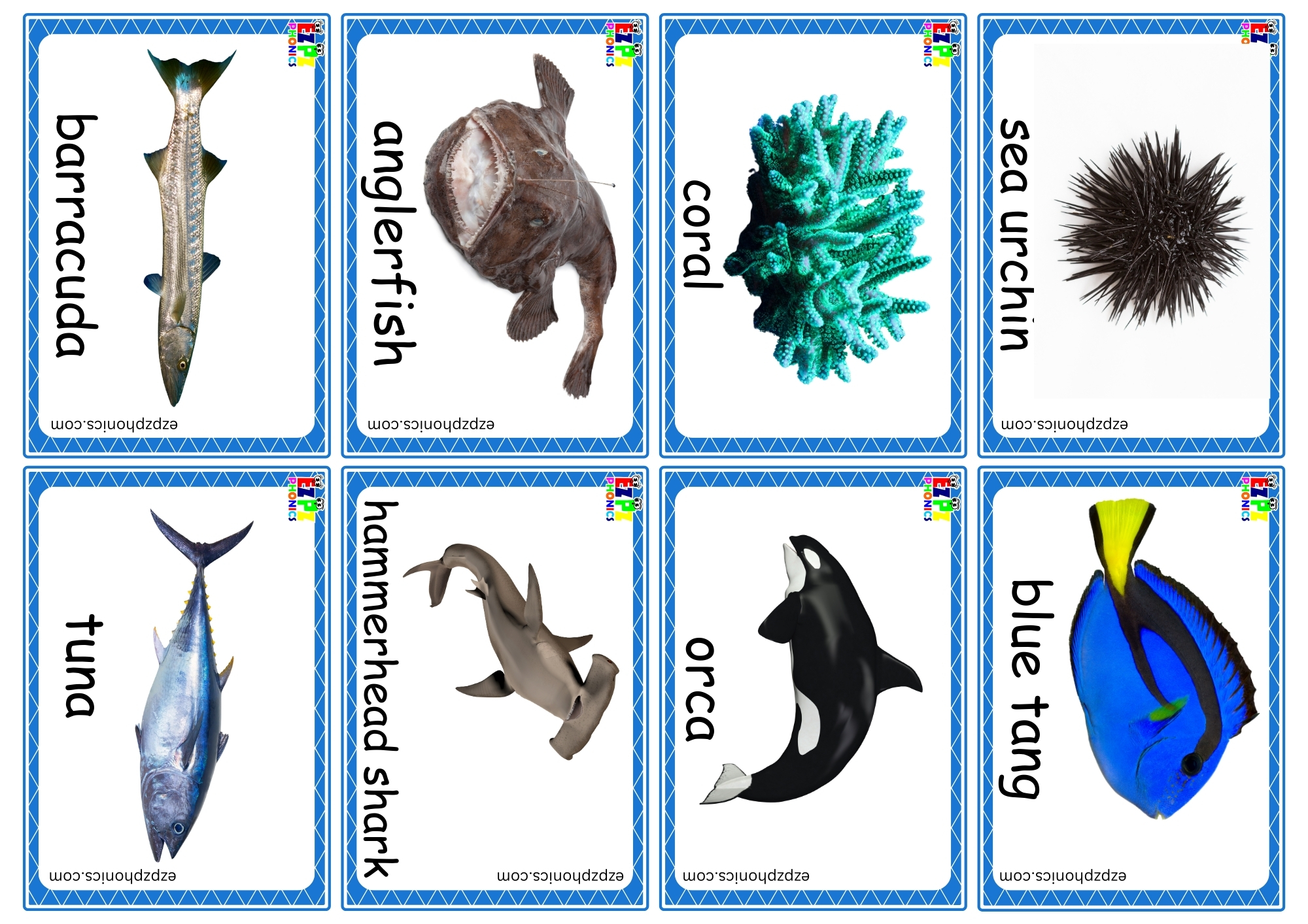 Sea Animals Mini Flashcards Free PDF - ezpzphonics.com
