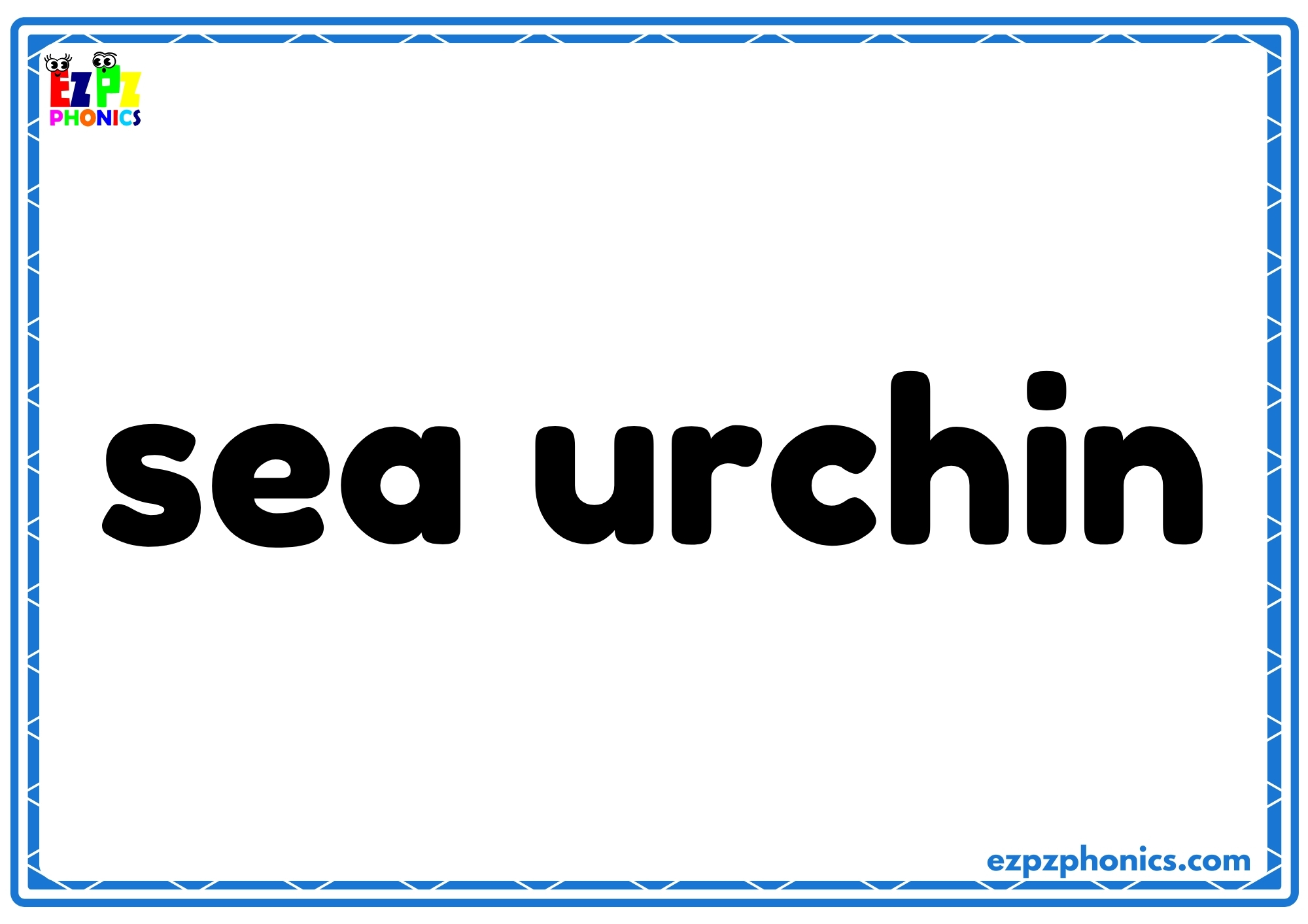 Sea Creatures Flashcards Words on the Back for Interactive Learning ...