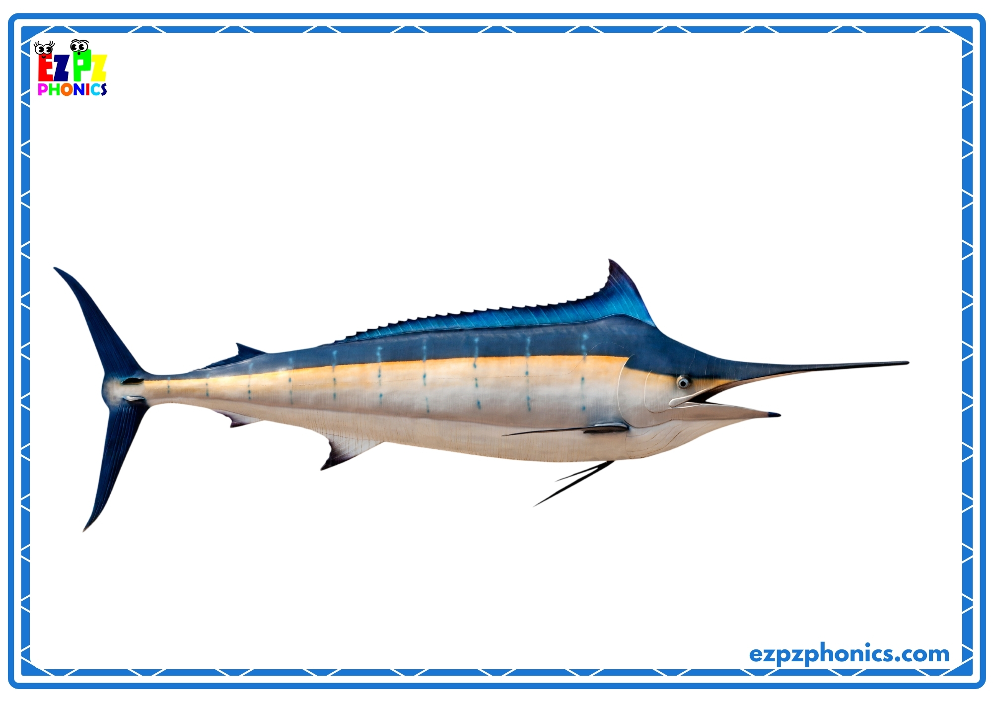 Sea Creatures Flashcards Words on the Back for Interactive Learning ...