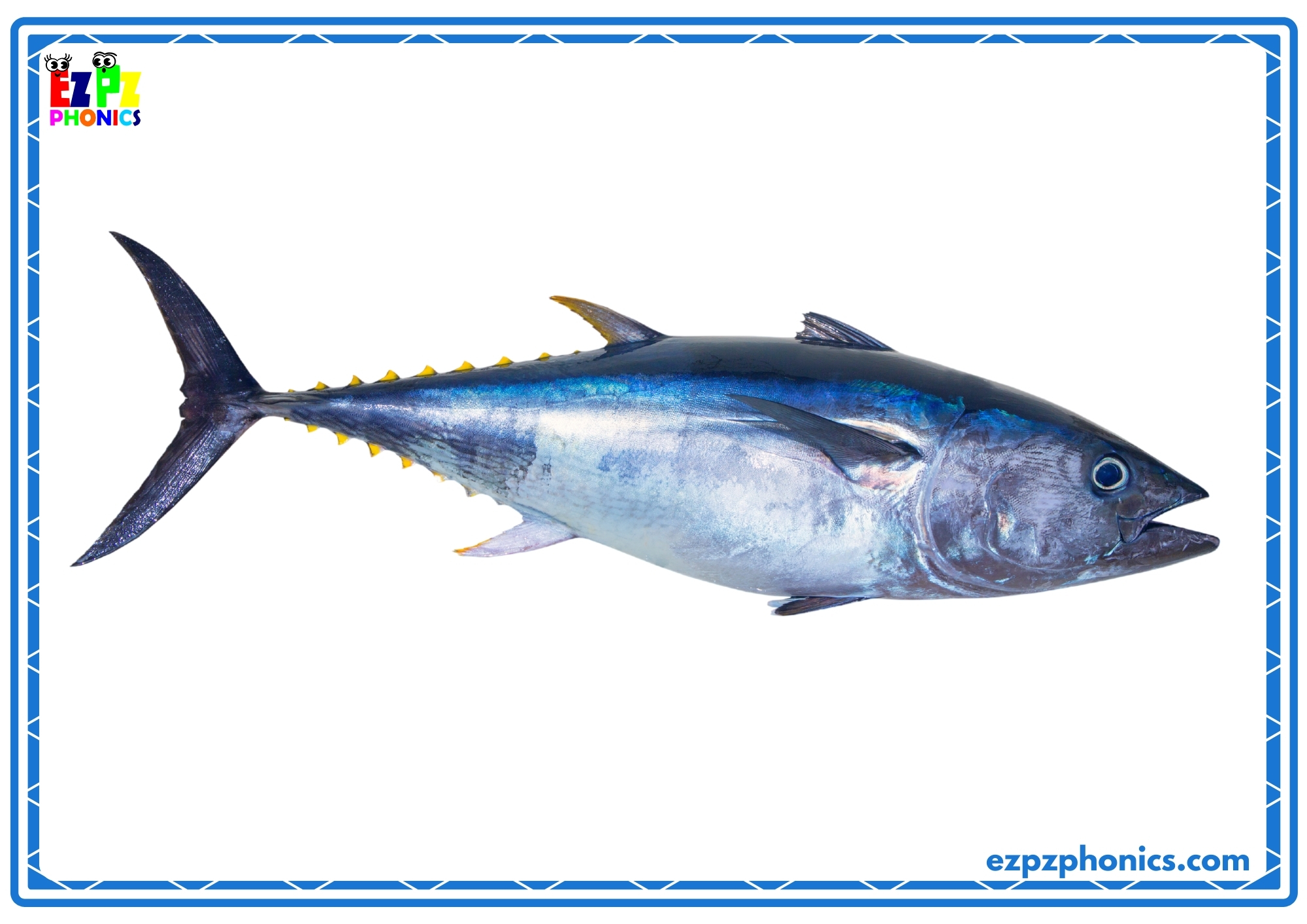 Sea Creatures Flashcards Words on the Back for Interactive Learning ...