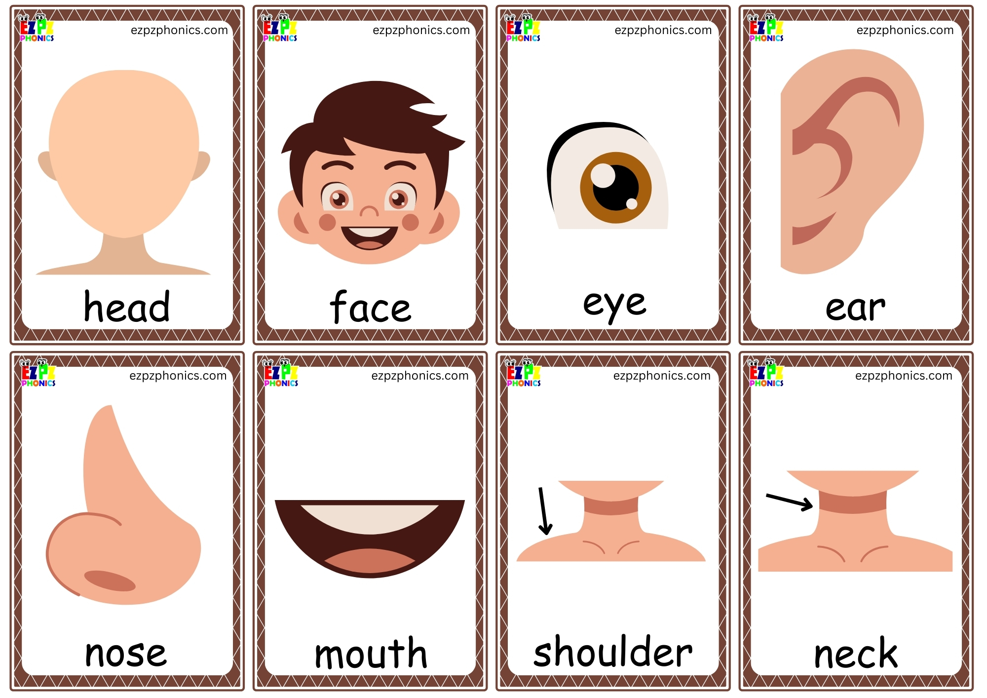 My Body Vocabulary Mini Flashcards for Kids – Free PDF Download ...