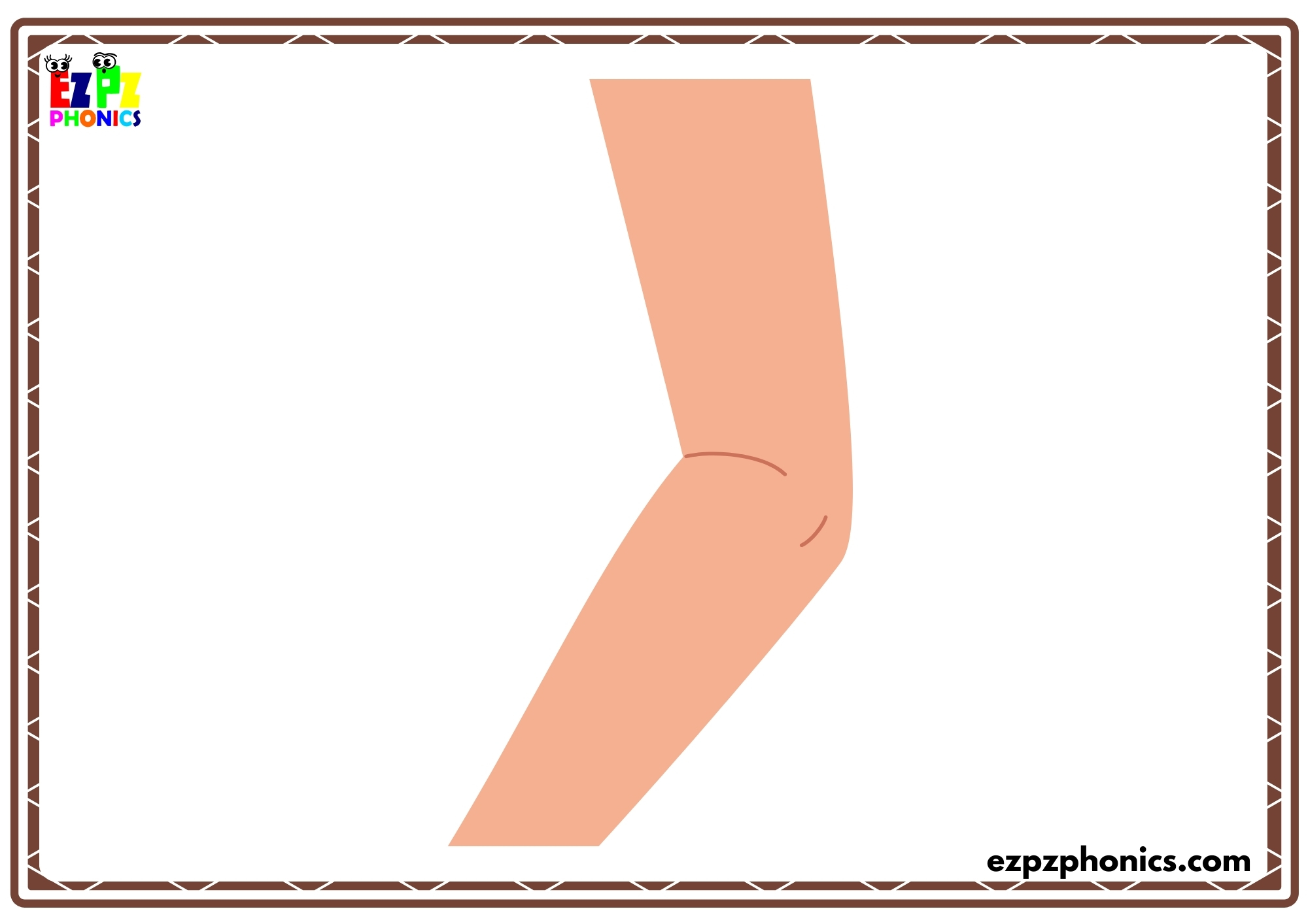 My Body Vocabulary Flashcards for Kids – Learn Body Parts Easily PDF ...