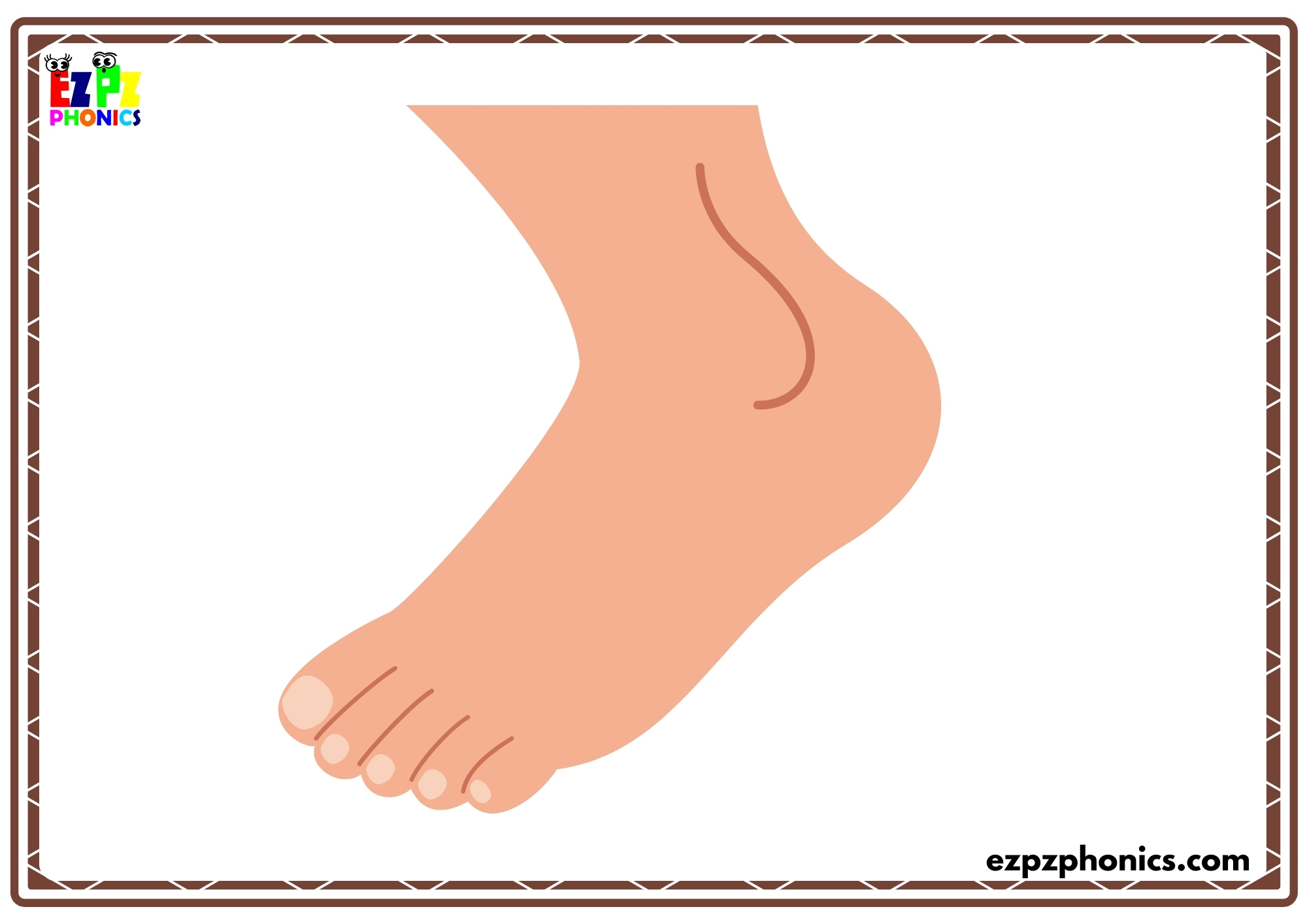 My Body Vocabulary Flashcards for Kids – Learn Body Parts Easily PDF ...