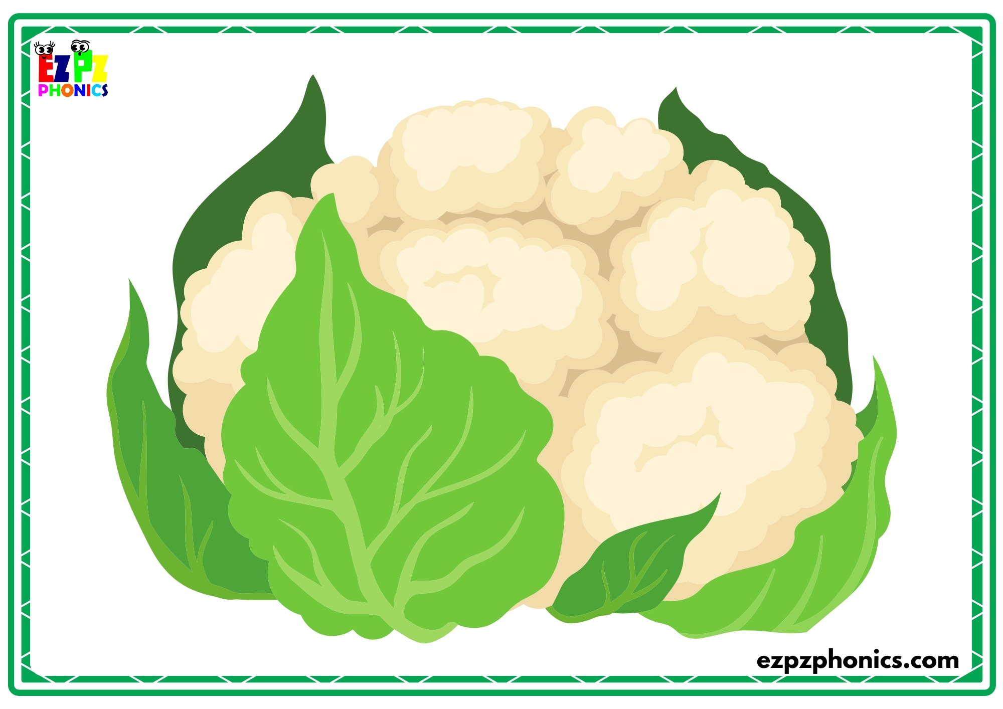 Vegetables Vocabulary Flashcards View Online or Free PDF Download ...