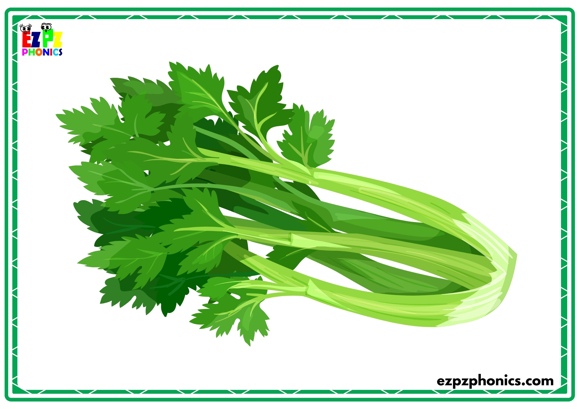 Vegetables Vocabulary Flashcards View Online or Free PDF Download ...