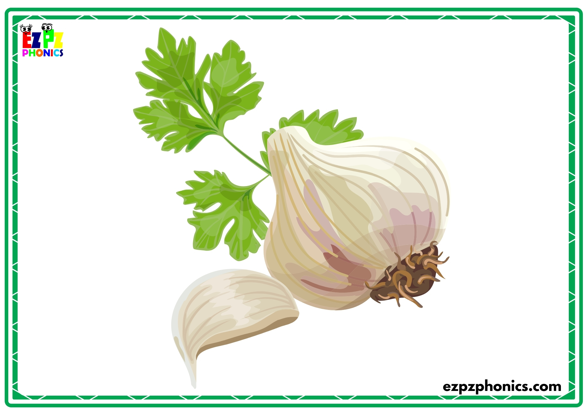 Vegetables Vocabulary Flashcards View Online or Free PDF Download ...