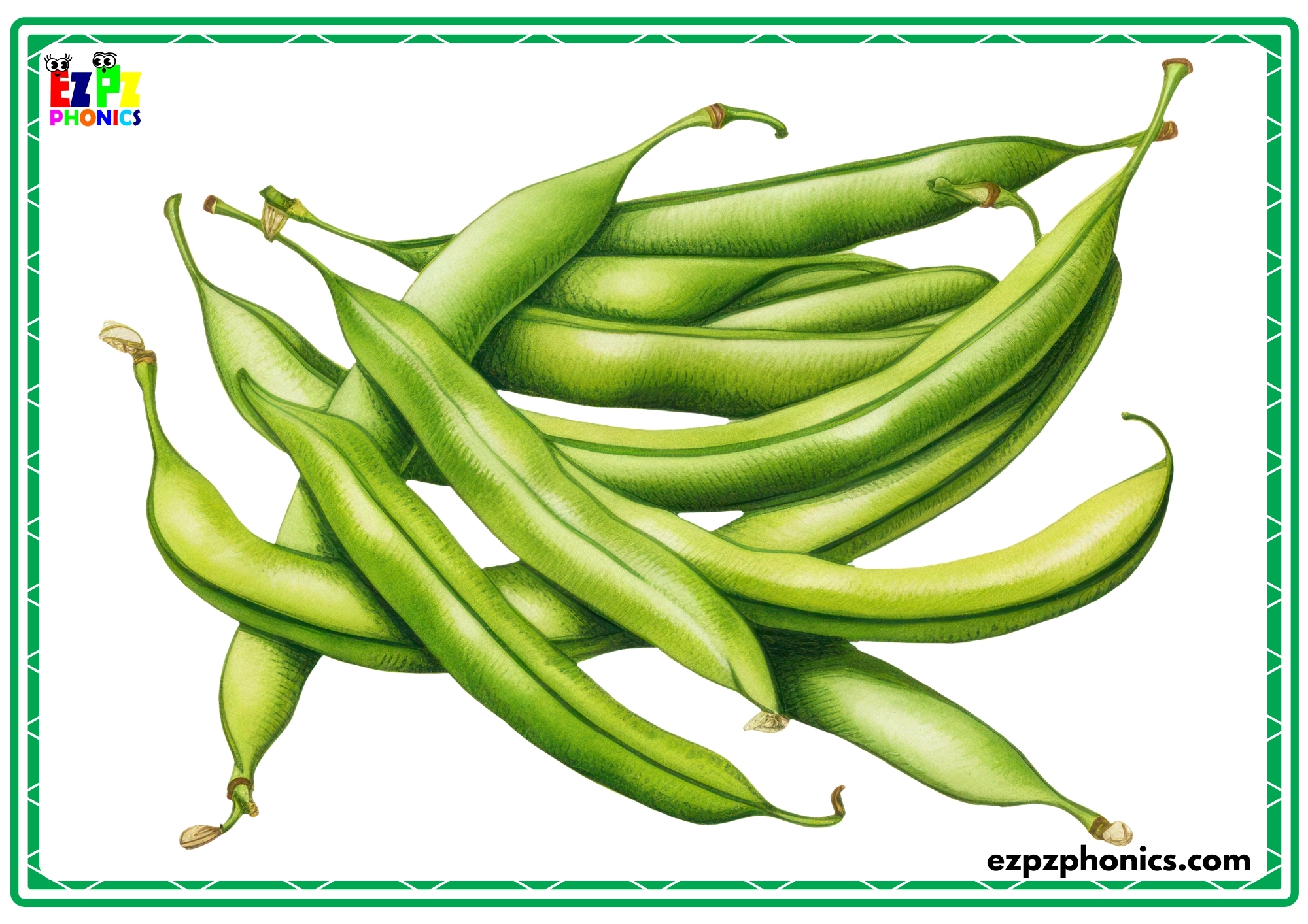 Vegetables Vocabulary Flashcards View Online or Free PDF Download ...