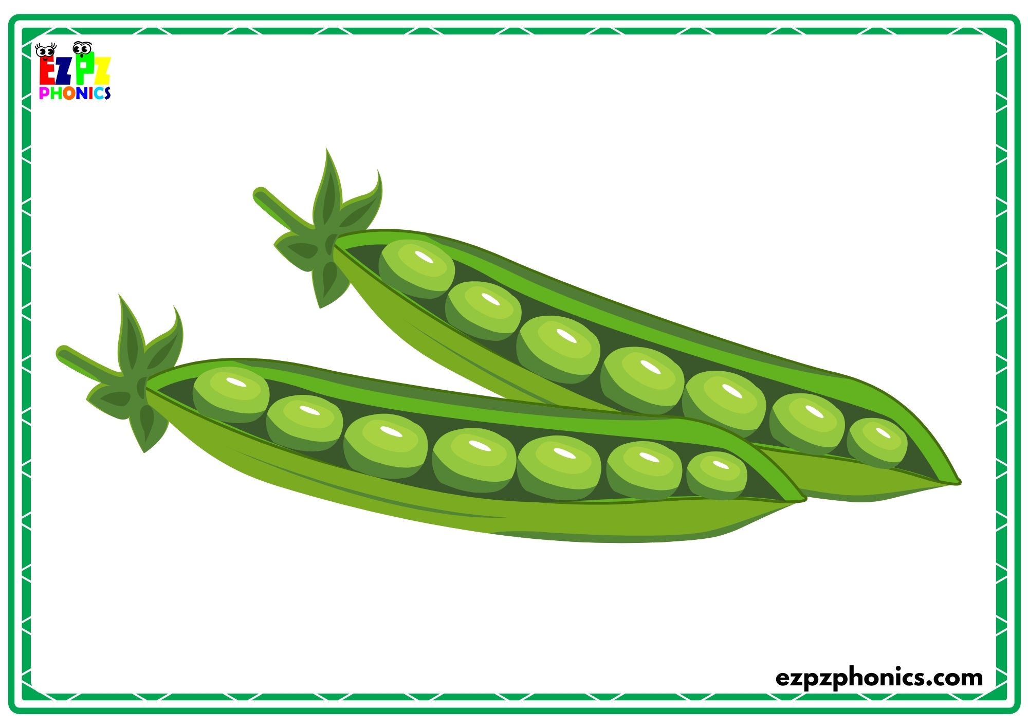 Vegetables Vocabulary Flashcards View Online or Free PDF Download ...