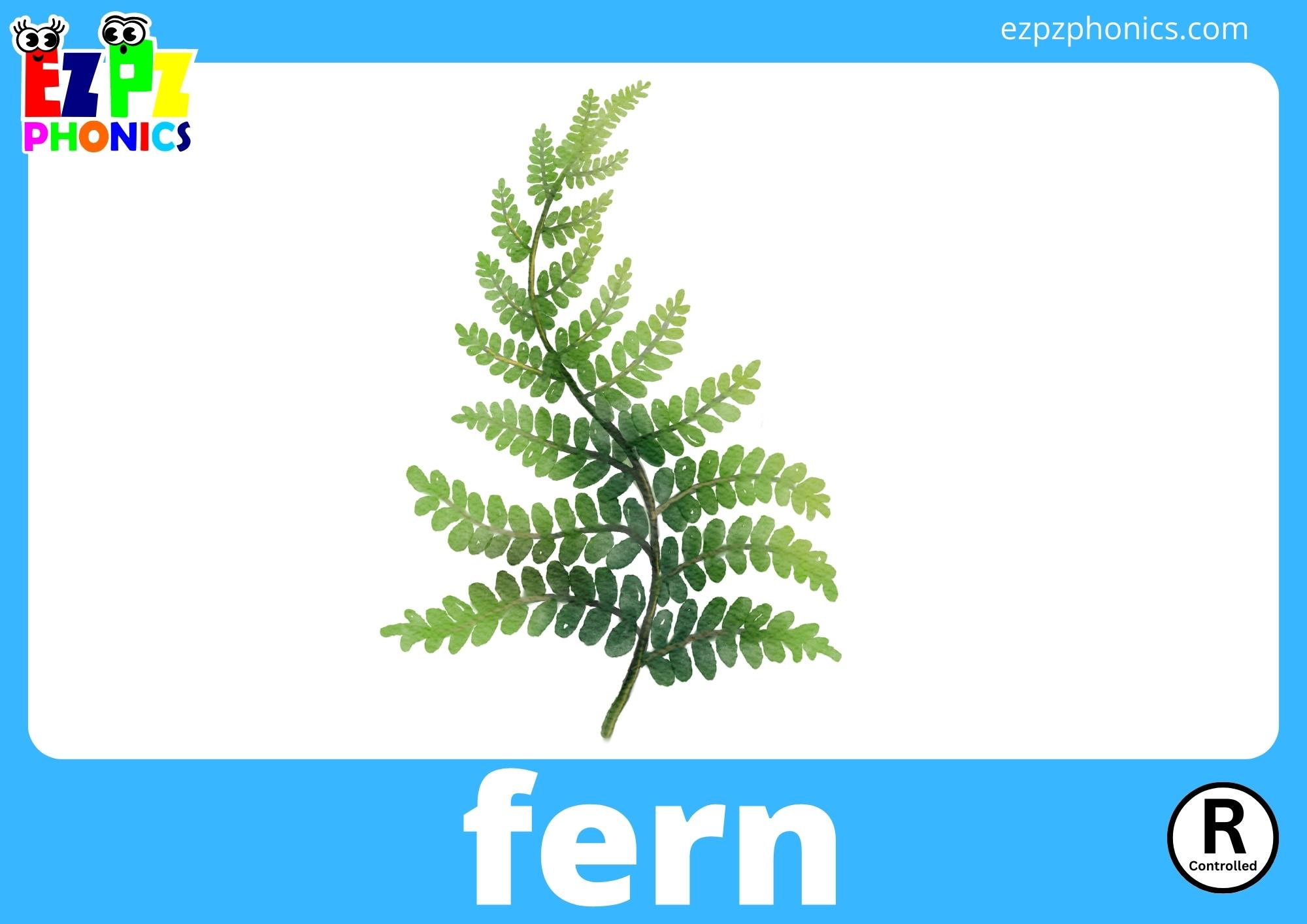 er R-Controlled One Syllable Words Phonics Flashcards with Images and ...