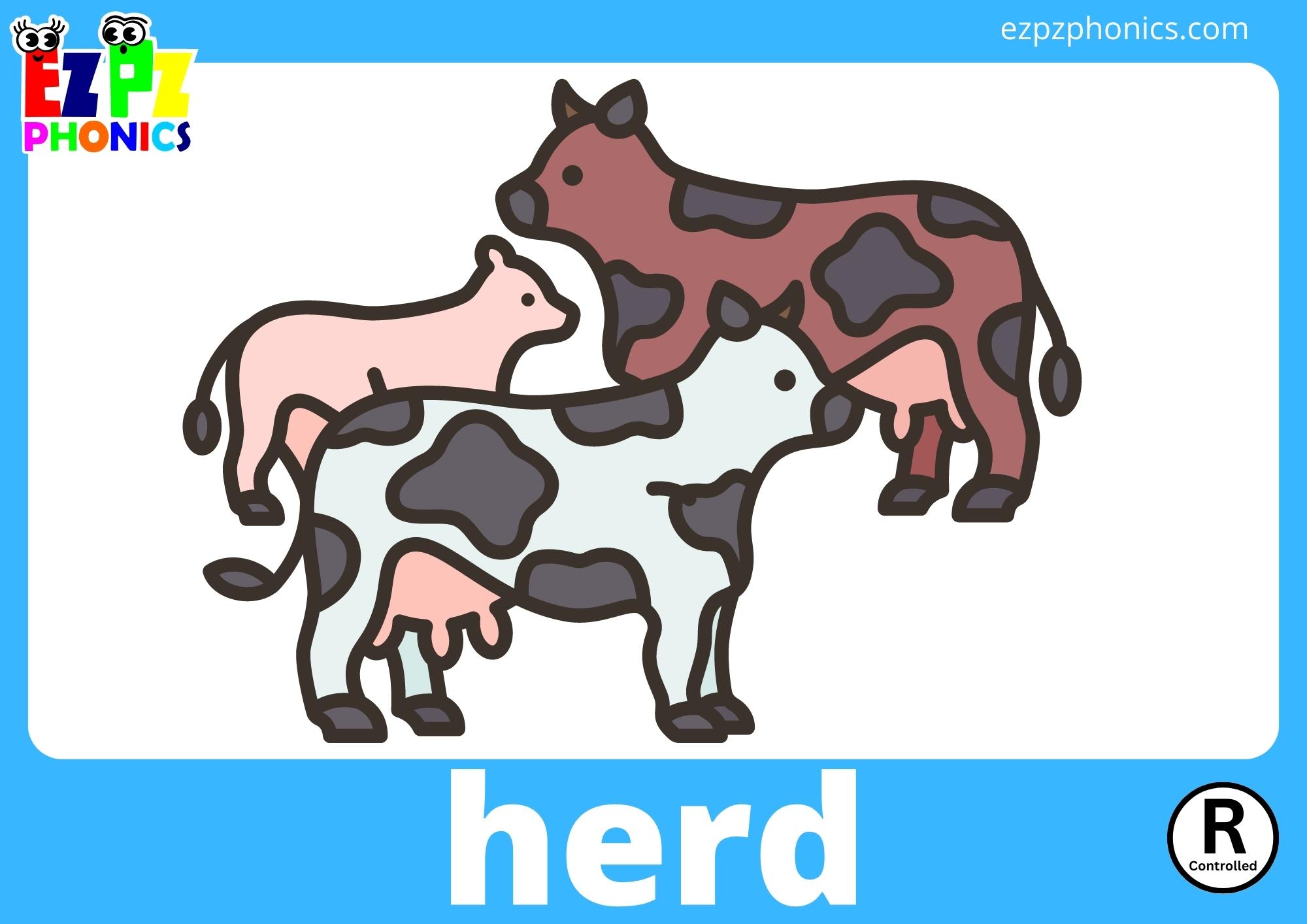 er R-Controlled One Syllable Words Phonics Flashcards with Images and ...