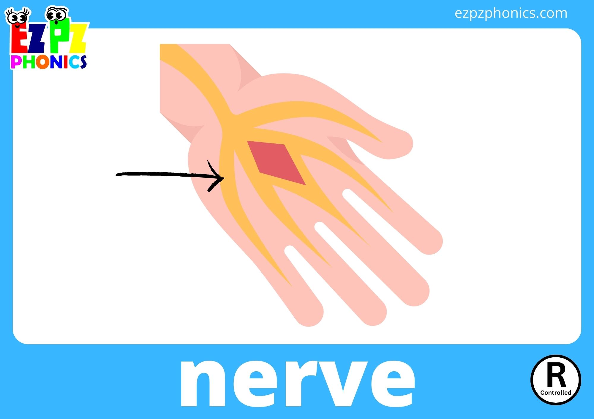 er R-Controlled One Syllable Words Phonics Flashcards with Images and ...