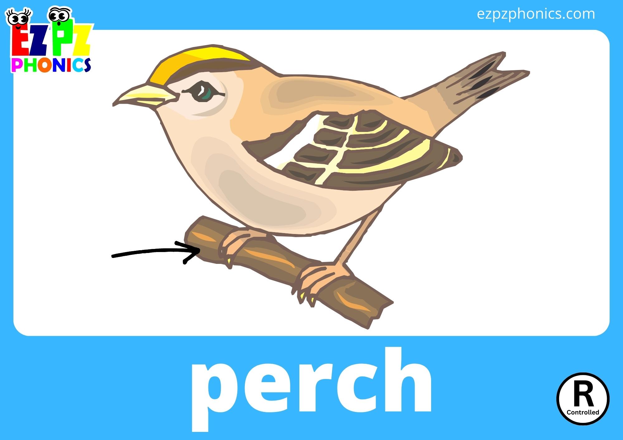 er R-Controlled One Syllable Words Phonics Flashcards with Images and ...